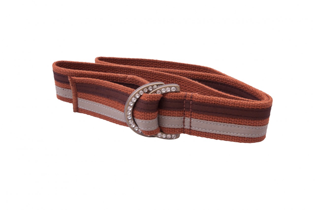 LR Orange Webbing Belt with Ribbons and Rhinestone D Rings